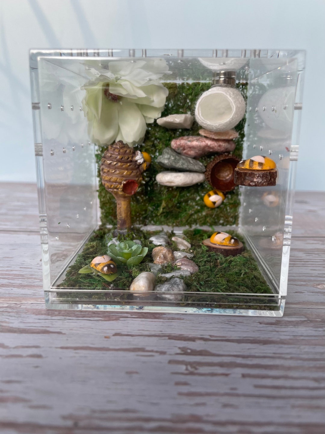 Small Decorated Jumping Spider Enclosure, Bee Themed With Cocoon Hide ...