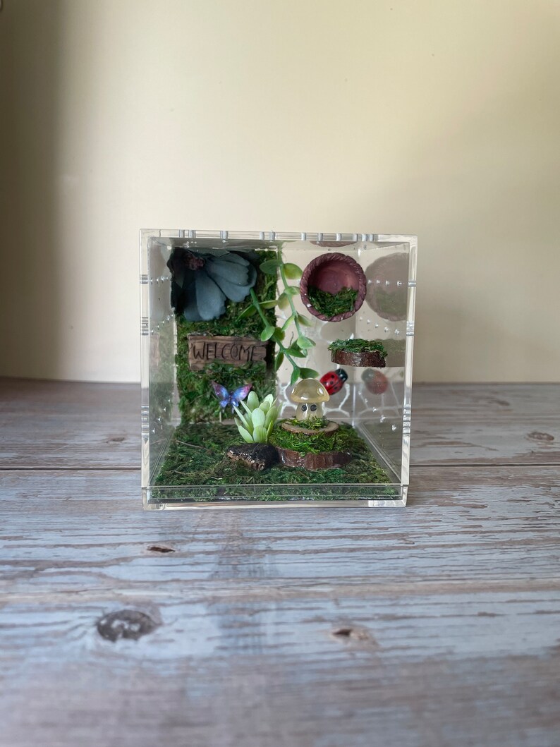 Small Decorated Jumping Spider Enclosure, Fairy Garden/ Enchanted ...