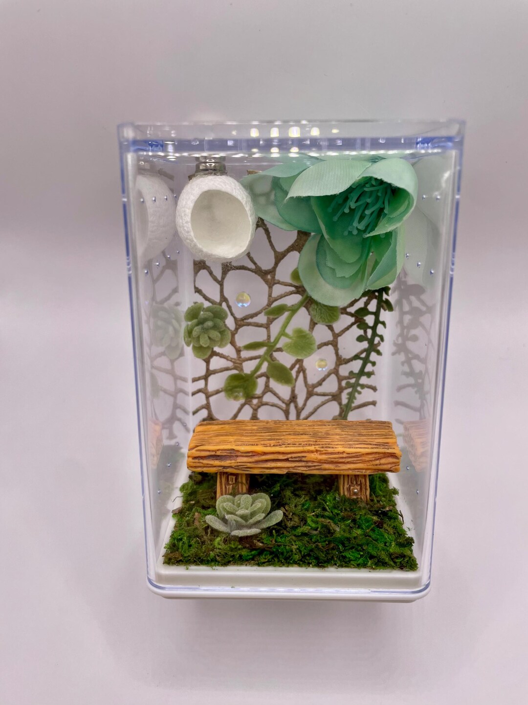 Small Jumping Spider Enclosure Decorated Nature Fairy Garden Theme With ...