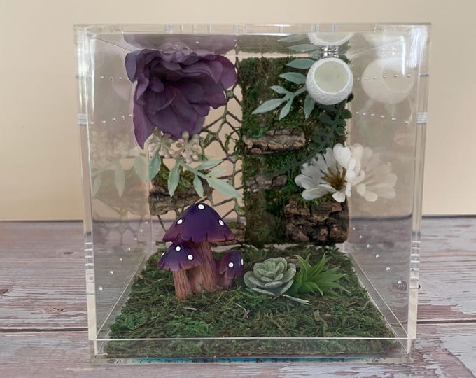 Medium Jumping Spider Enclosure Mushroom Nature Themed With Silk Cocoon ...