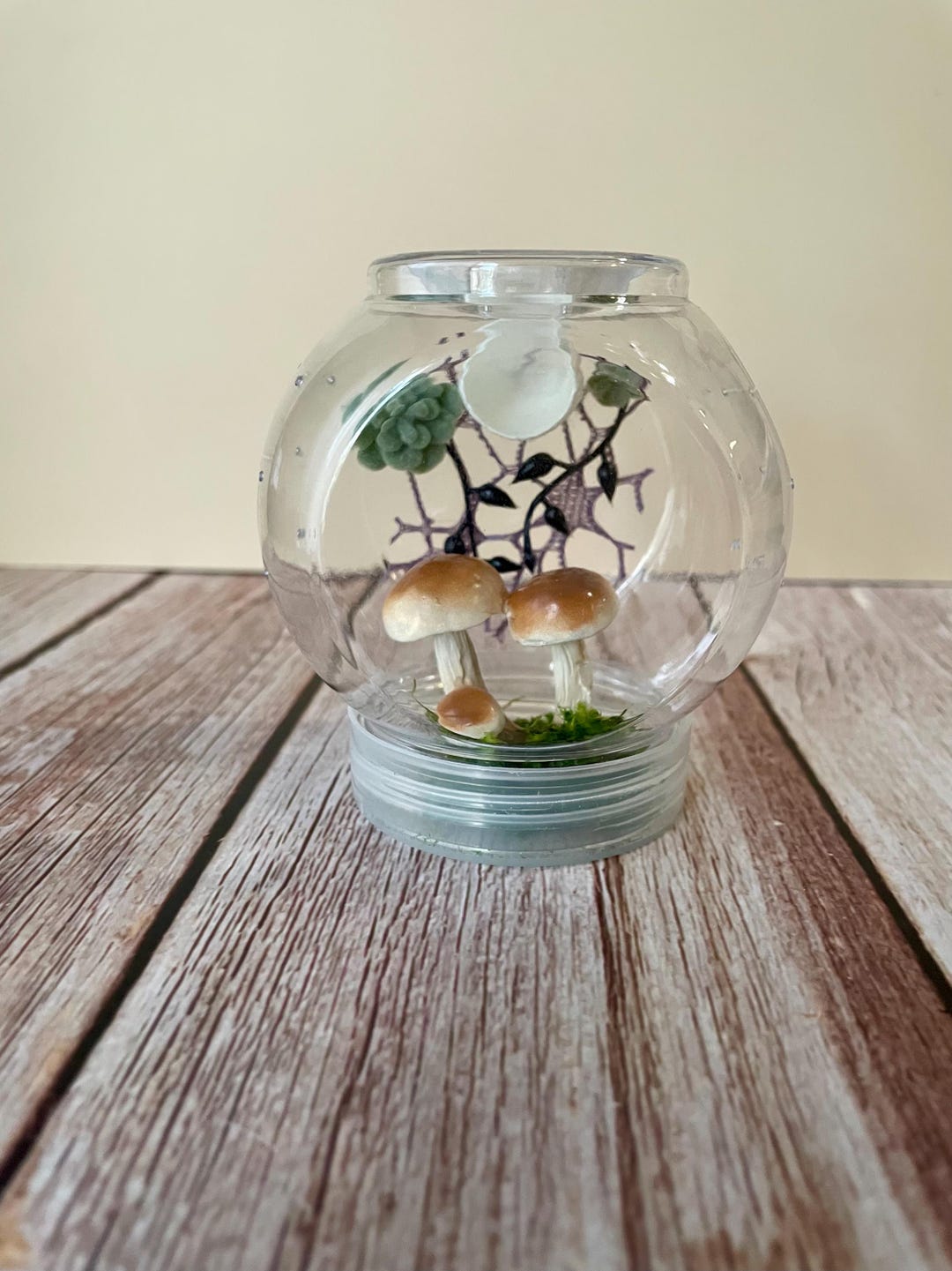 Jumping Spider Sling Enclosure – Bubble Dome Terrarium With Silk Cocoon ...