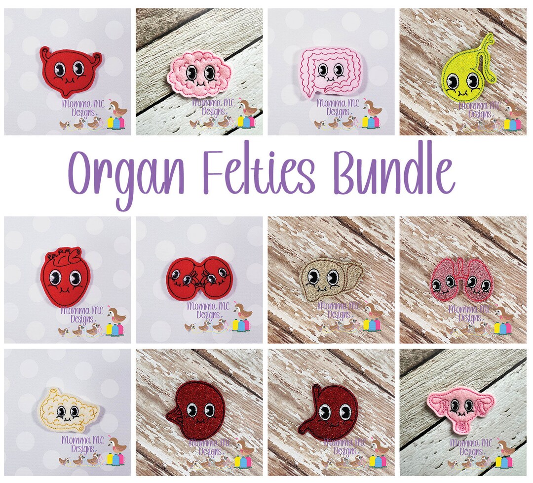 BUNDLE of All 12 Human Internal Organs With Retro Faces Felt Feltie ...