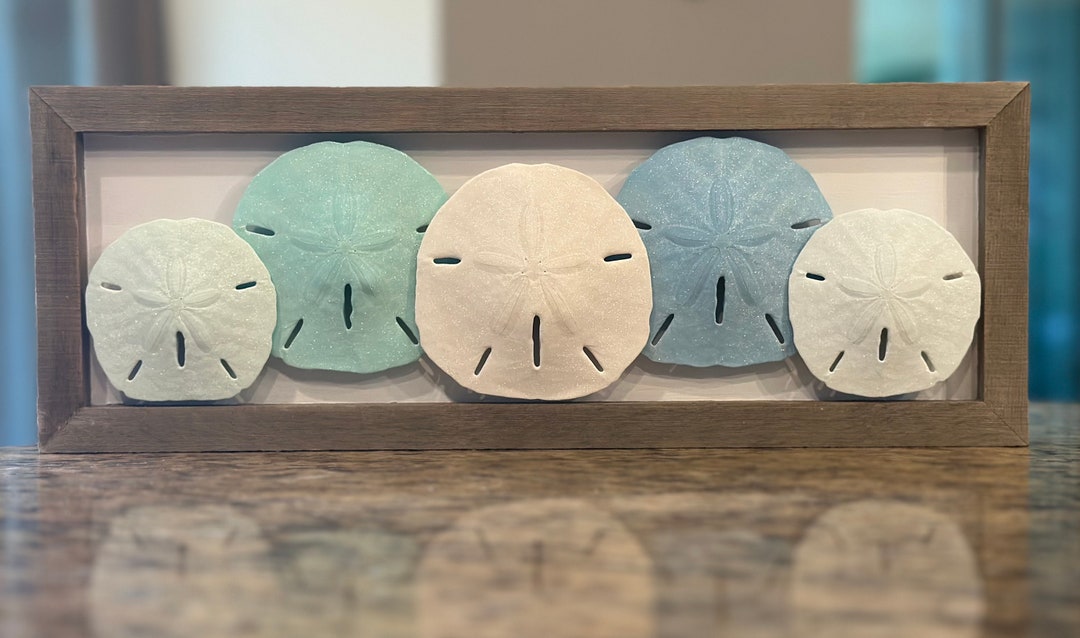 Real Florida Beach Sand Dollar Shadow Box; Coastal Home Wall Decor ...