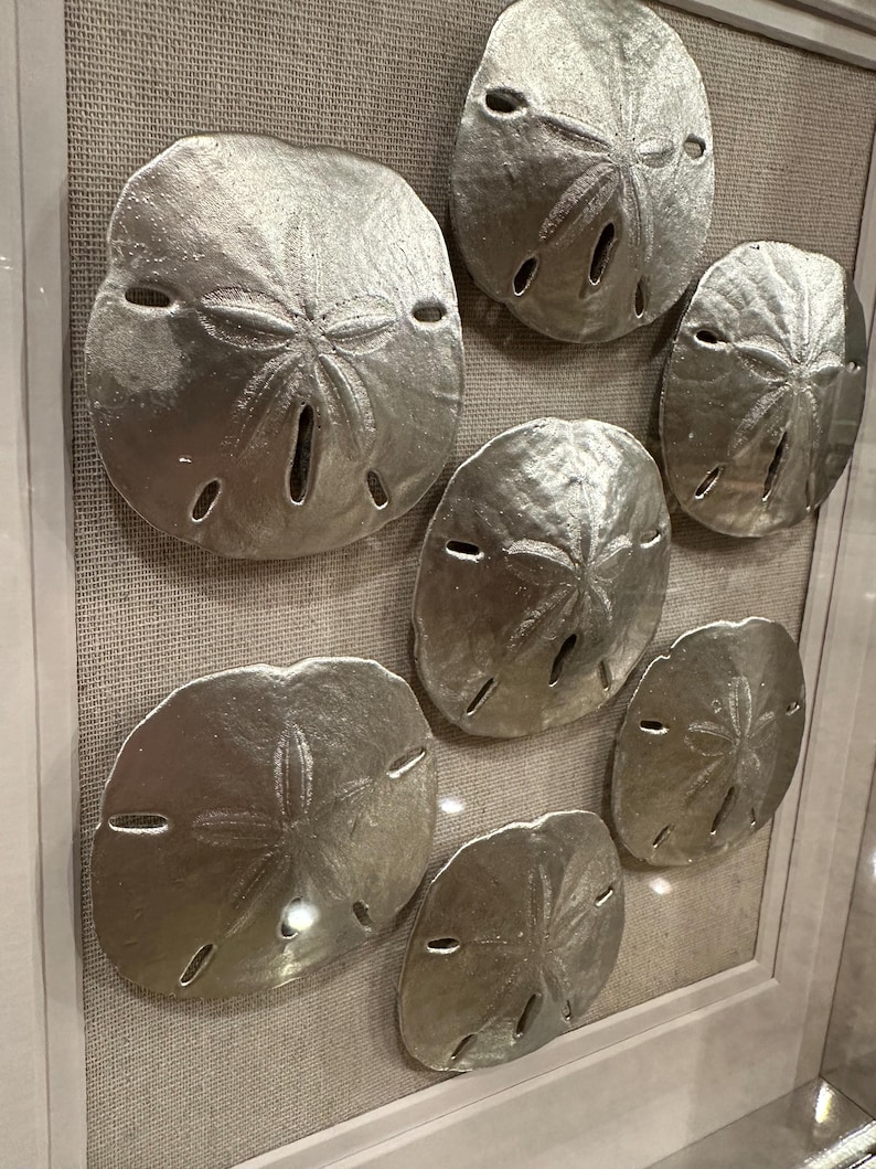 Real Florida Beach Sand Dollar Shadow Box Coastal Home Wall Decor Ocean ...