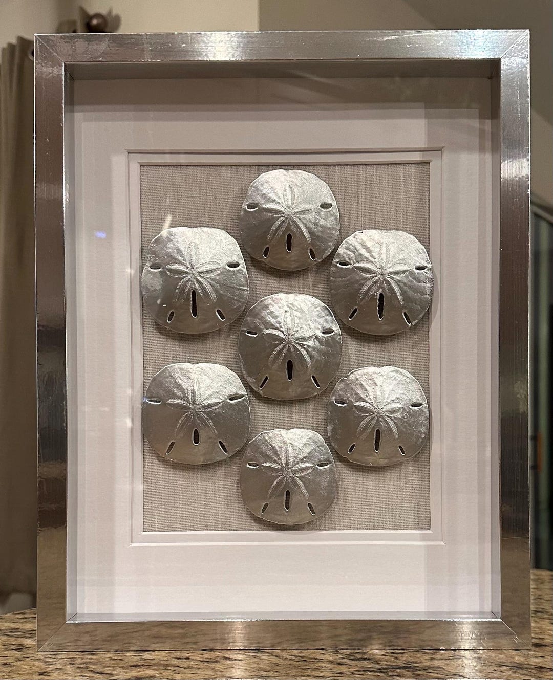 Real Florida Beach Sand Dollar Shadow Box Coastal Home Wall Decor Ocean ...