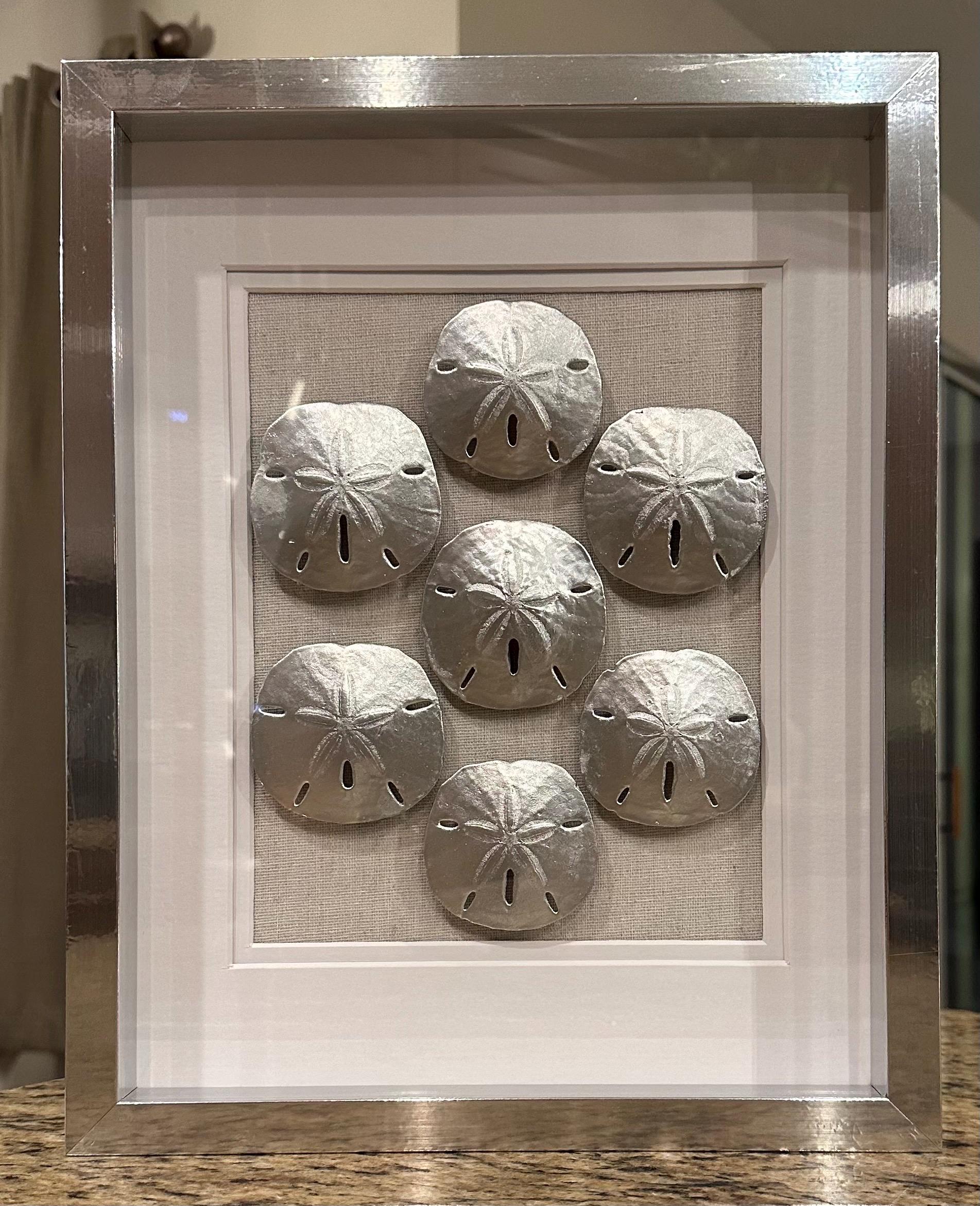 Real Florida Beach Sand Dollar Shadow Box Coastal Home Wall Decor Ocean ...