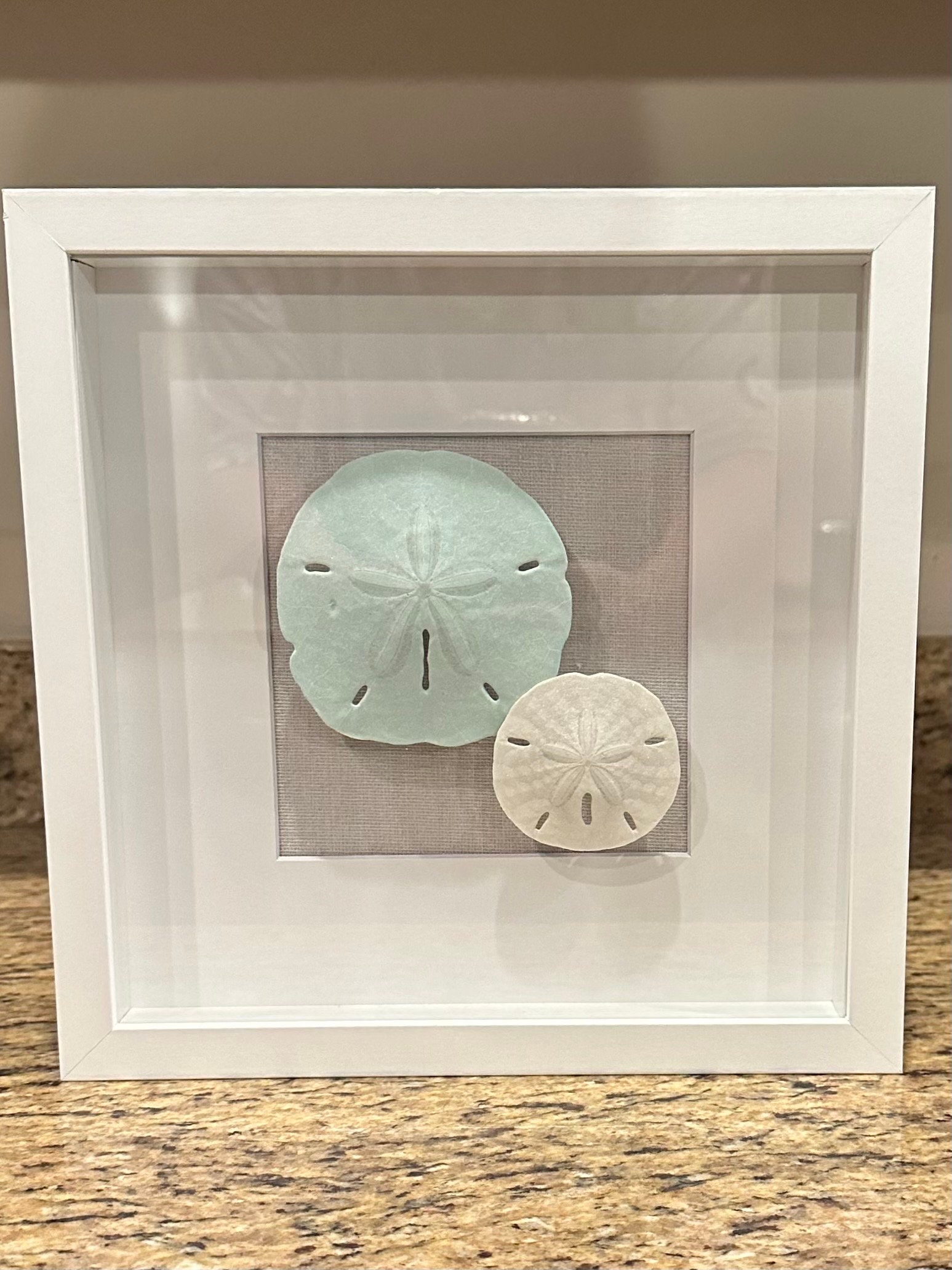 Real Florida Beach Sand Dollar Shadow Box Coastal Home Wall Decor Ocean ...