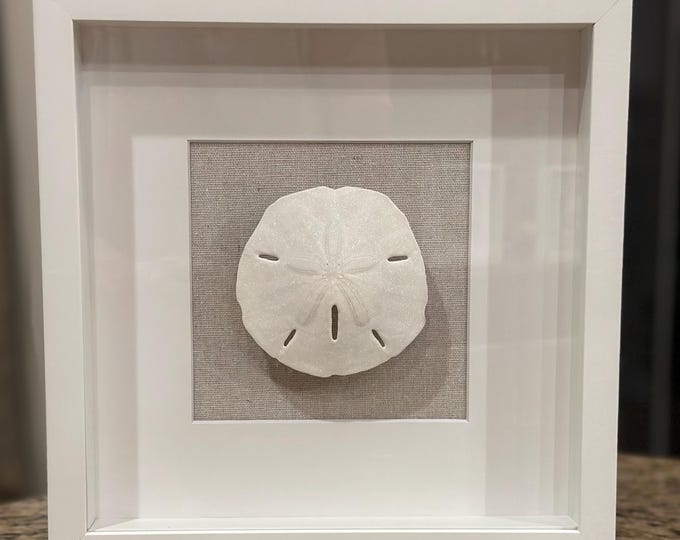 Real Florida Beach Sand Dollar Shadow Box Coastal Home Wall Decor Ocean ...