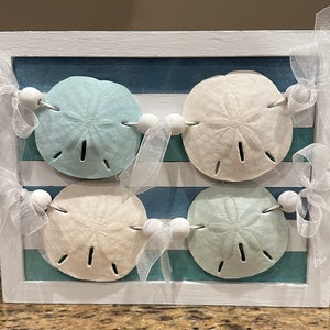 Real Florida Beach Sand Dollar Delicate Picture Display Shadow Box ...
