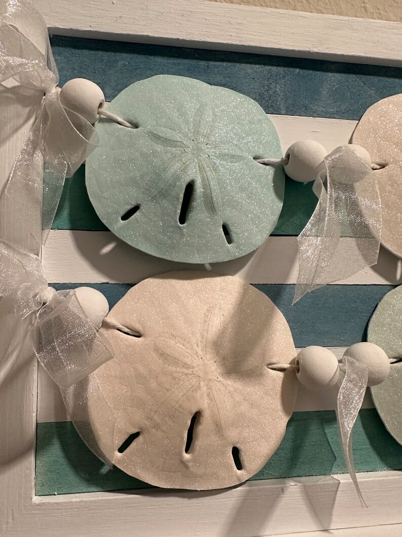 Real Florida Beach Sand Dollar Delicate Picture Display Shadow Box ...