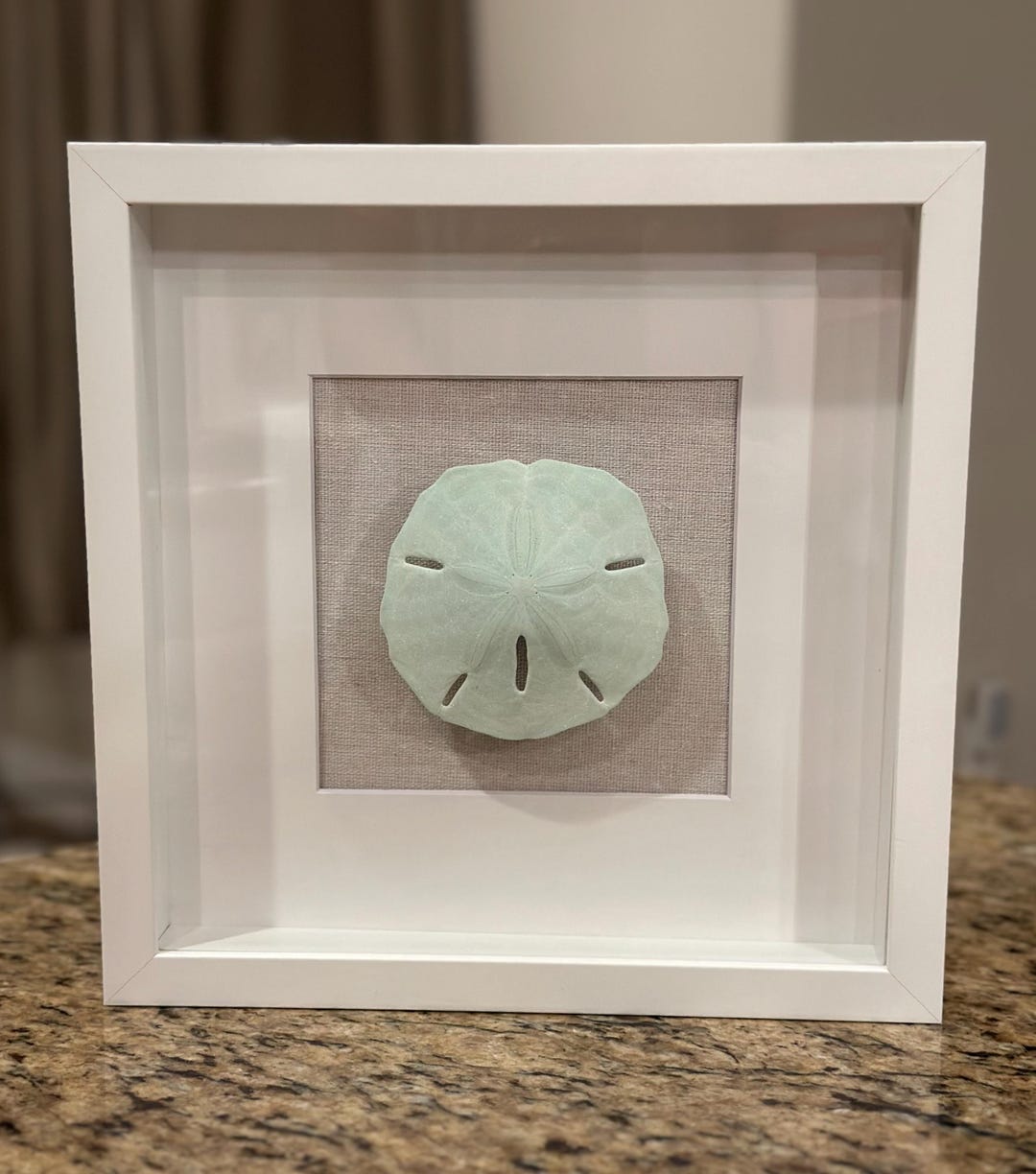 Real Florida Beach Sand Dollar Shadow Box 11 ”x 11”; Coastal Home Wall Decor; Ocean Beach Theme ...