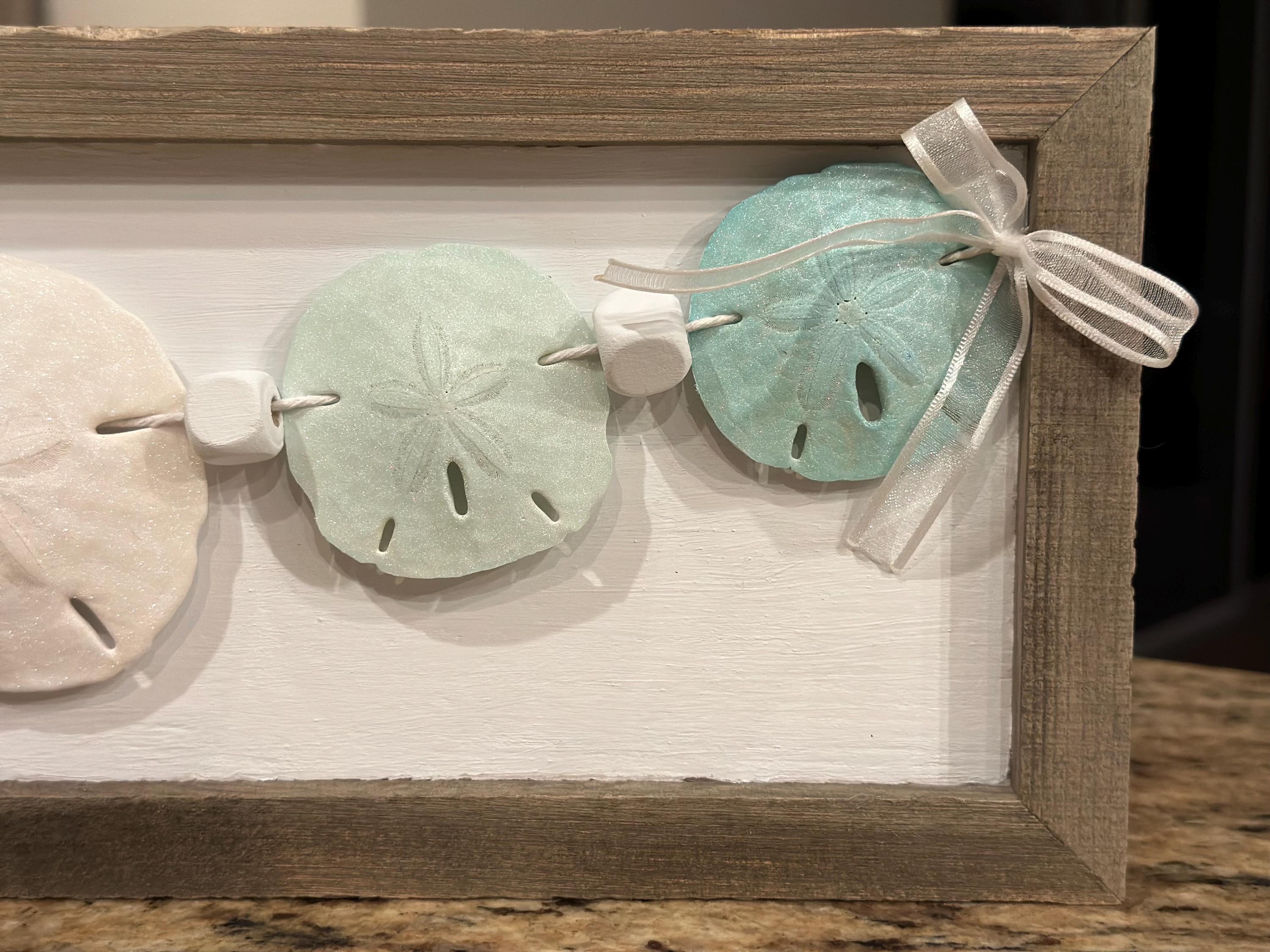 Real Florida Beach Sand Dollar Shadow Box Coastal Home Wall Decor Ocean ...