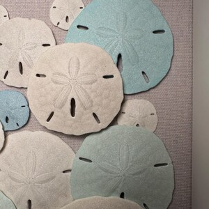 Real Florida Beach Sand Dollar Shadow Box Coastal Home Wall Decor Ocean ...