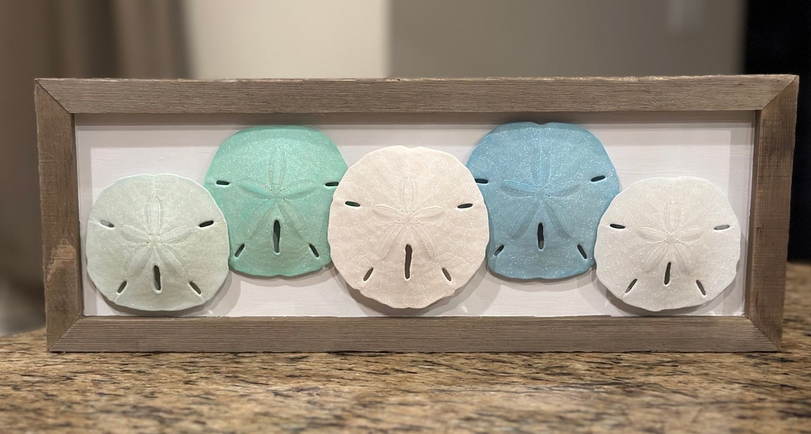 Real Florida Beach Sand Dollar Shadow Box Coastal Home Wall Decor Ocean ...