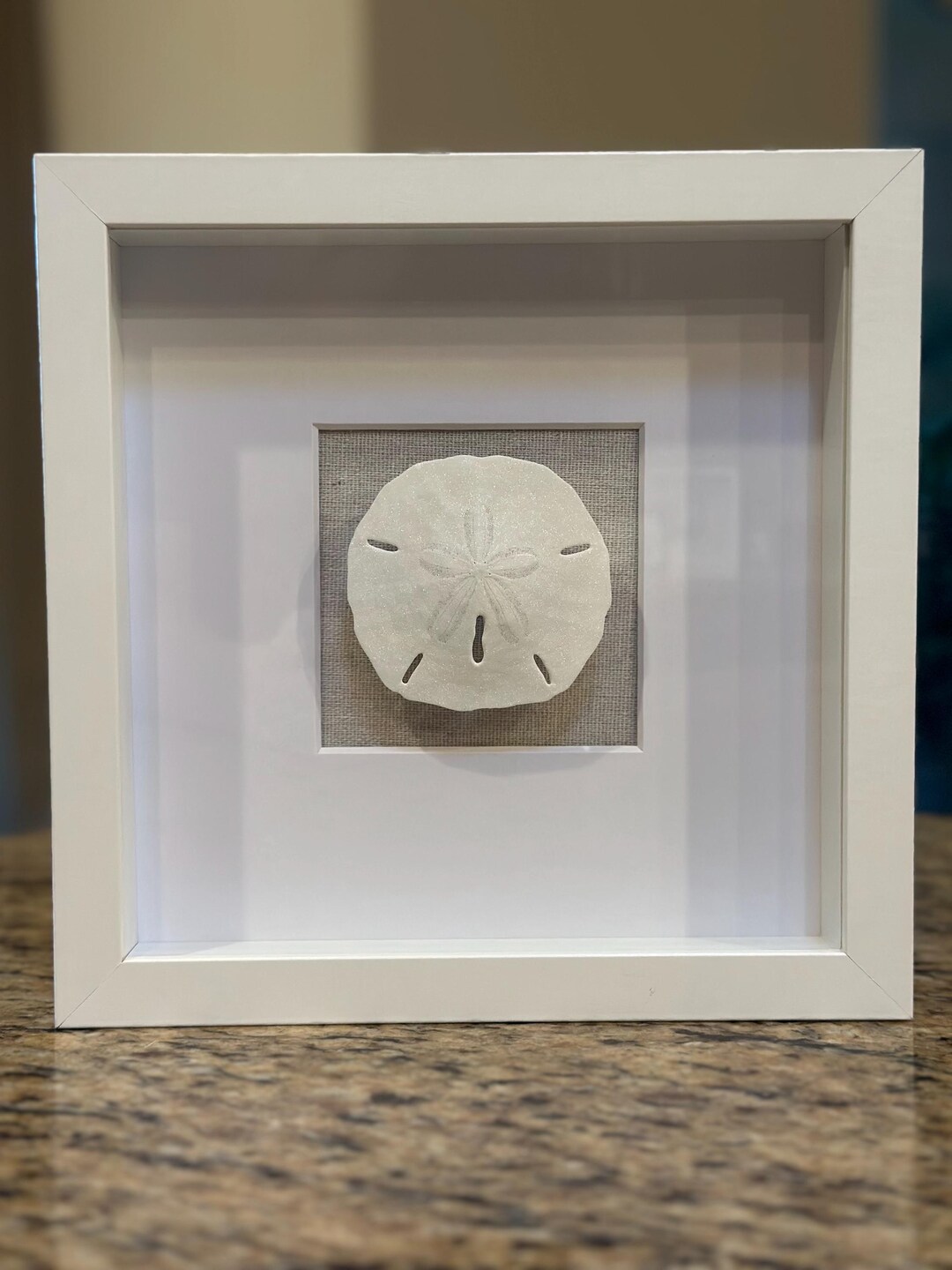 Real Florida Beach Sand Dollar Shadow Box 9”x 9”; Coastal Home Wall ...