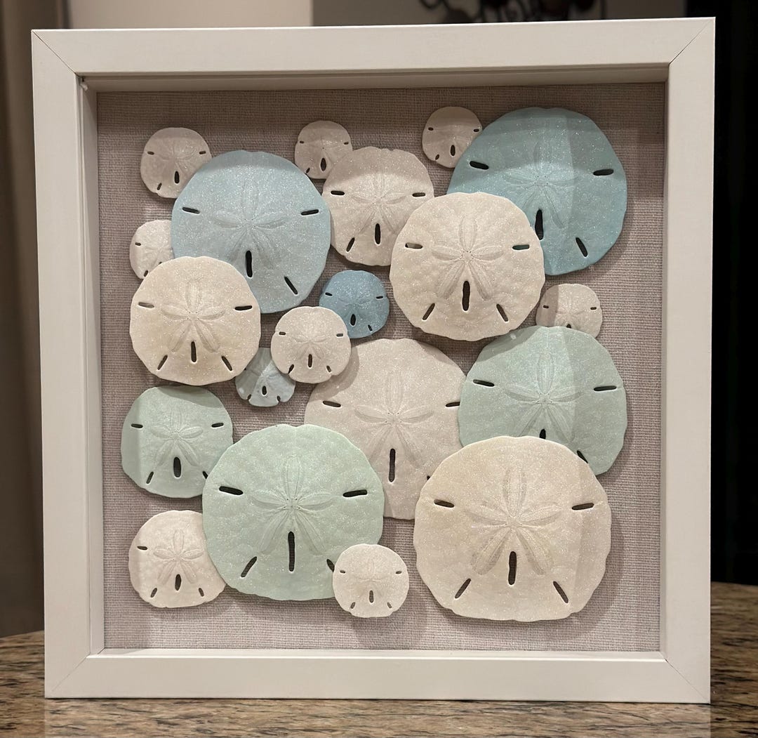 Real Florida Beach Sand Dollar Shadow Box Coastal Home Wall Decor Ocean ...