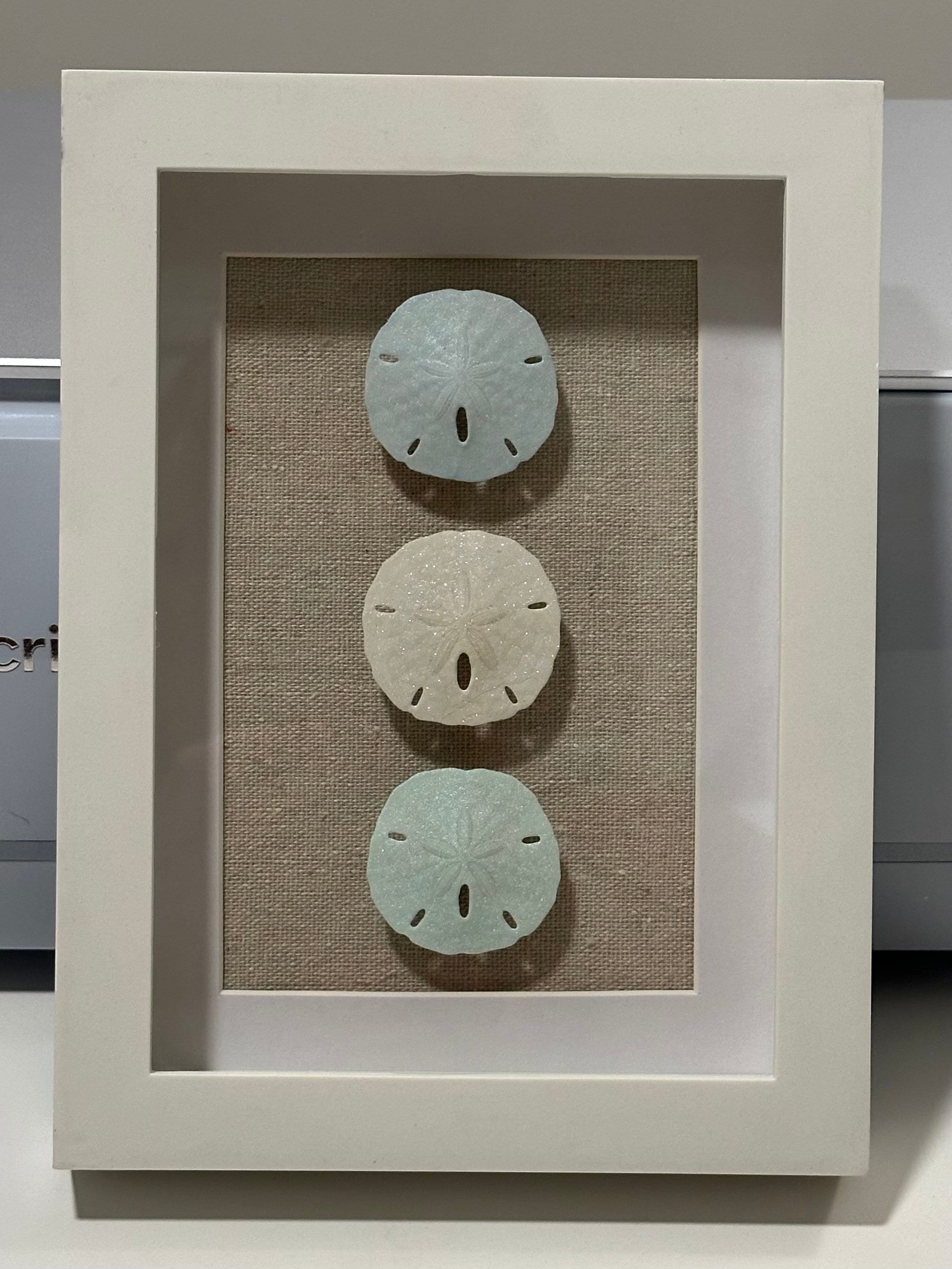 Real Florida Beach Sand Dollar Shadow Box Coastal Home Wall Decor Ocean ...