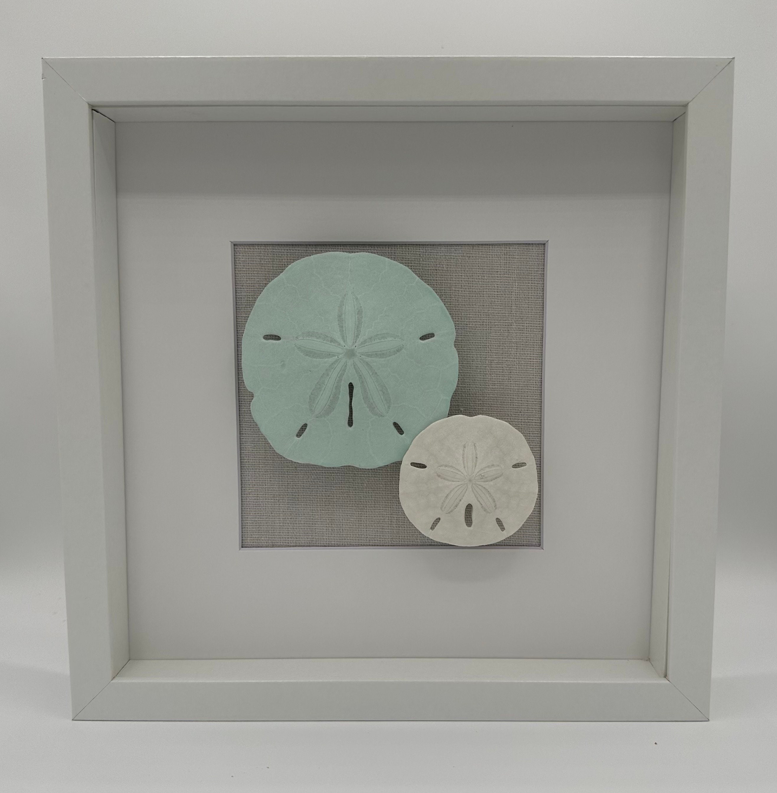 Real Florida Beach Sand Dollar Shadow Box Coastal Home Wall Decor Ocean ...