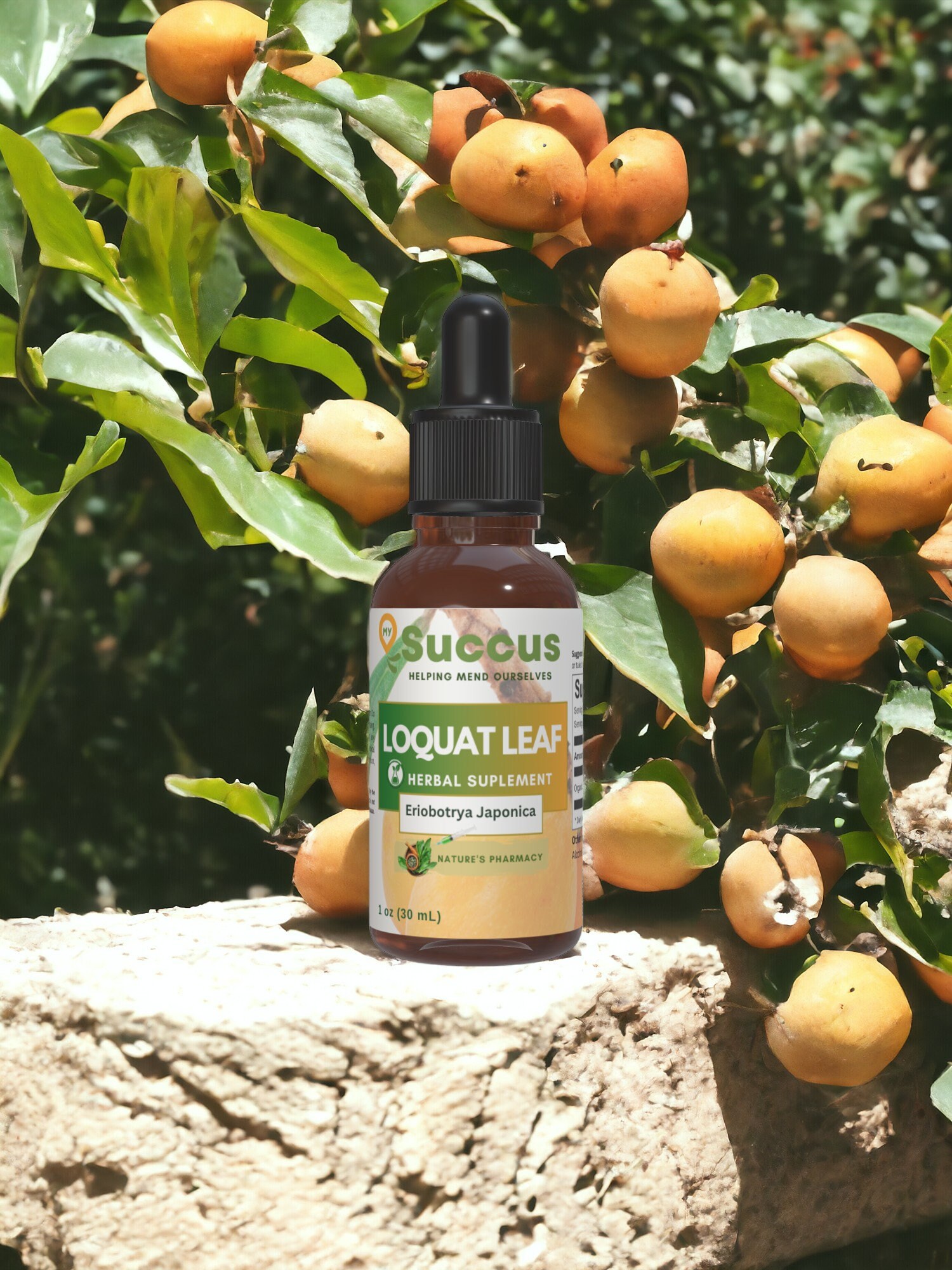 Loquat Leaf Tincture - Superior Quality - Etsy