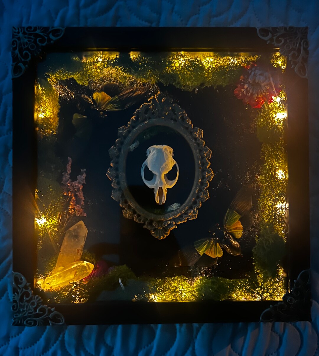 Lighted Shadow Box With Muskrat Skull ,neon Green Cicadas, Antique ...