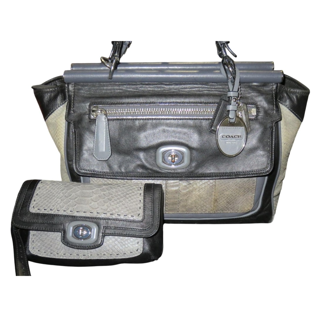 COACH Pinnacle Embossed Exotic Leather Color Block Handbag & Matching ...