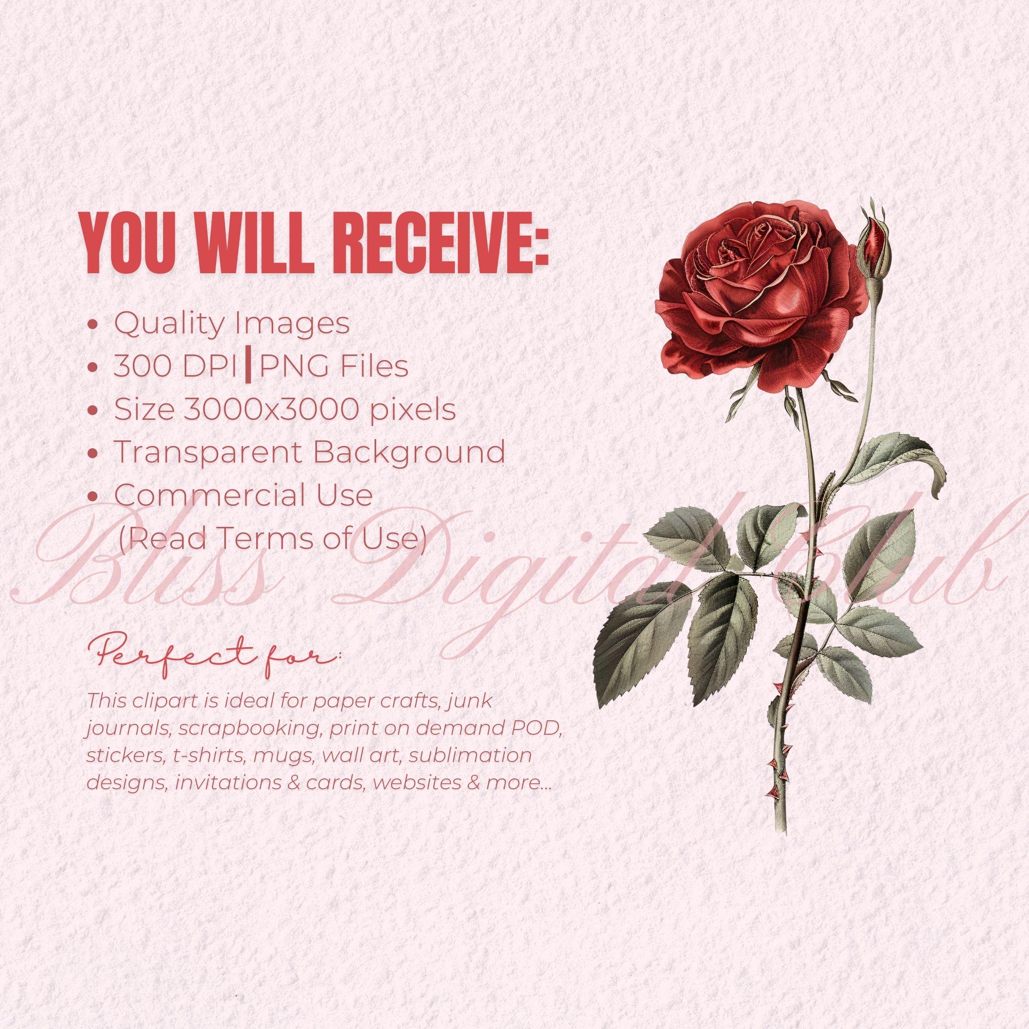 Watercolor Red Vintage, Cottagecore Clipart Png, Cottage Living, Red ...