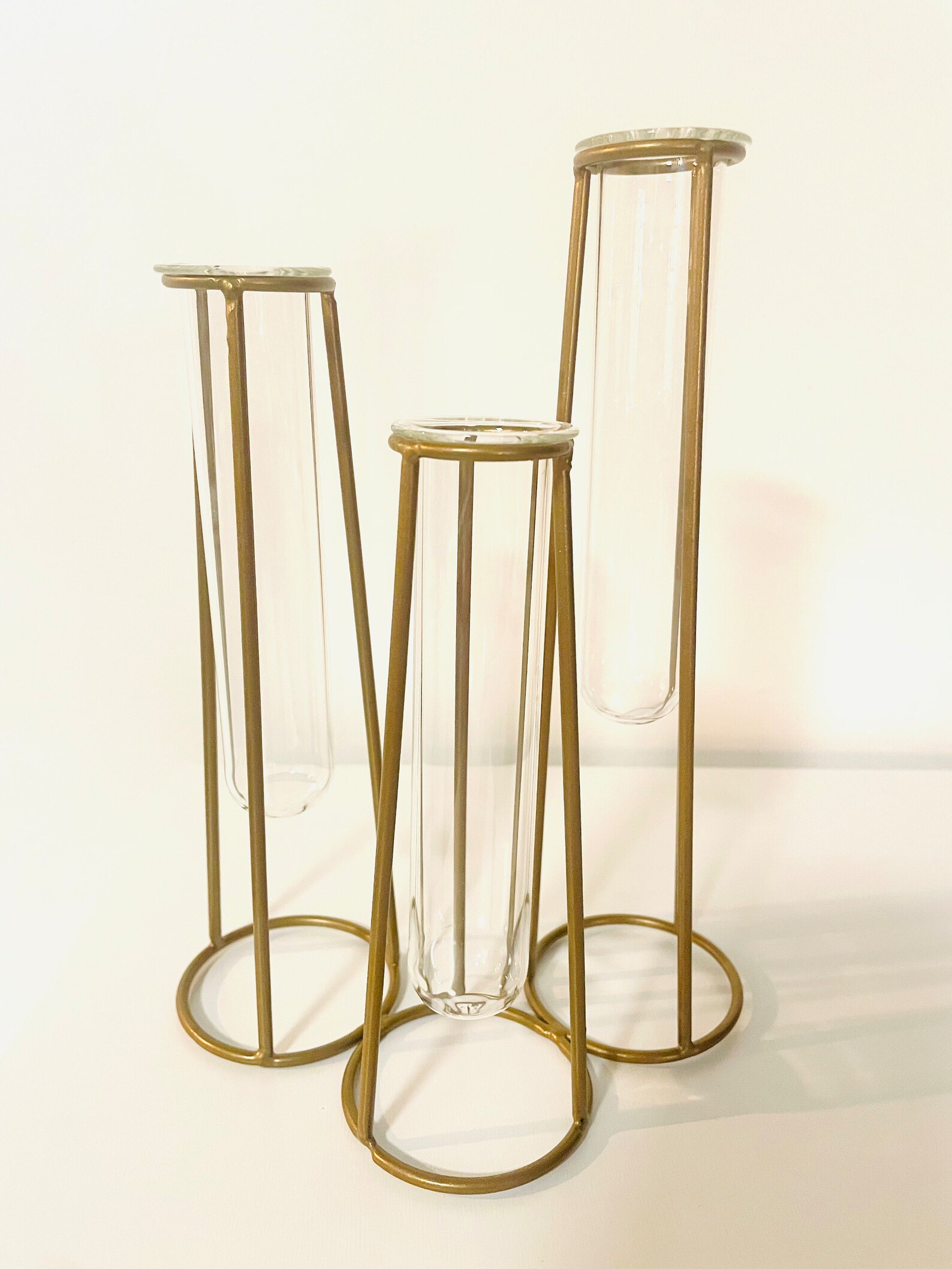 Test Tube Plant Vase - Etsy