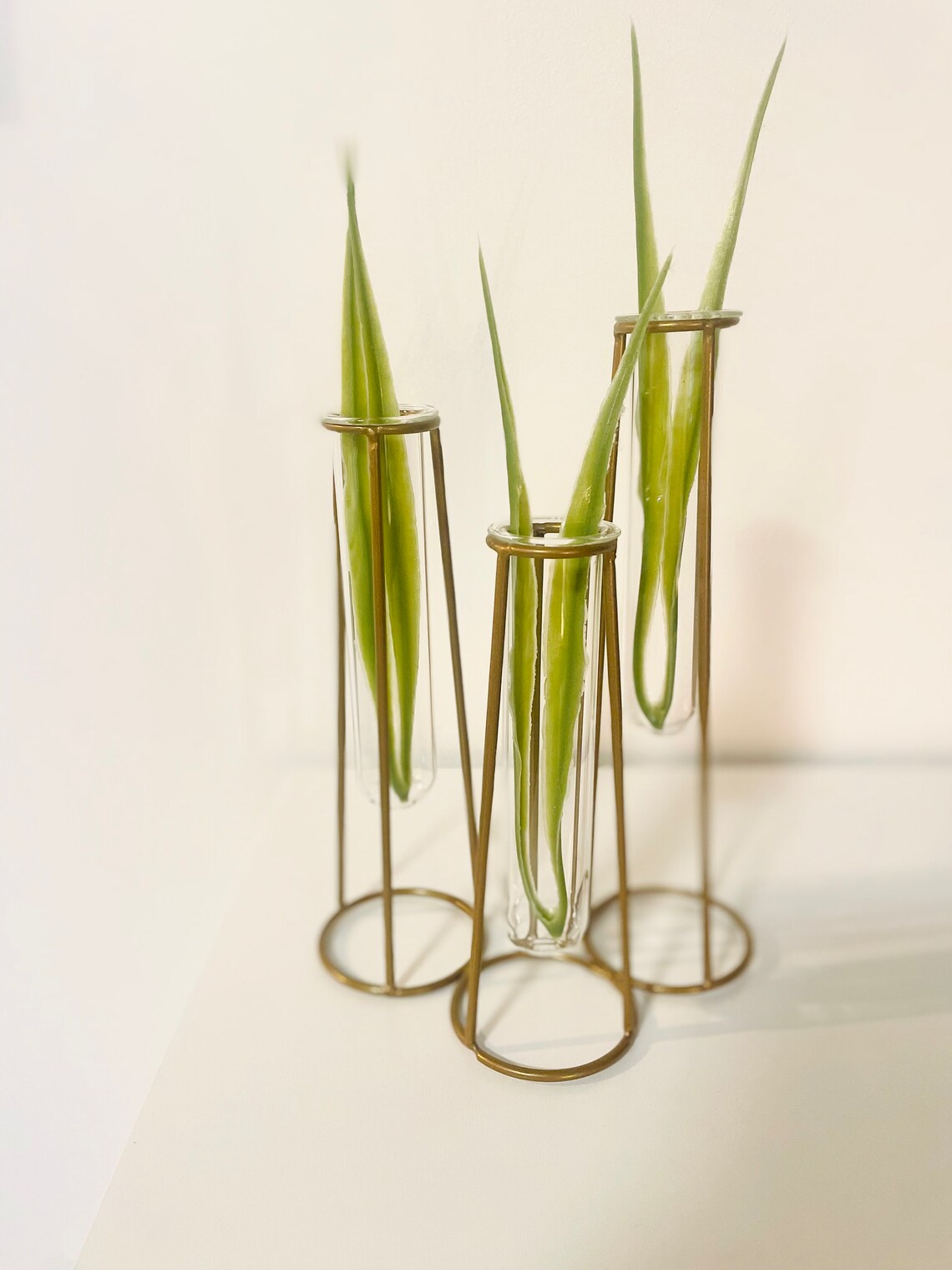 Test Tube Plant Vase - Etsy