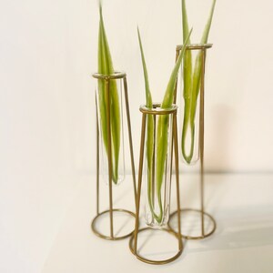 Test Tube Plant Vase - Etsy
