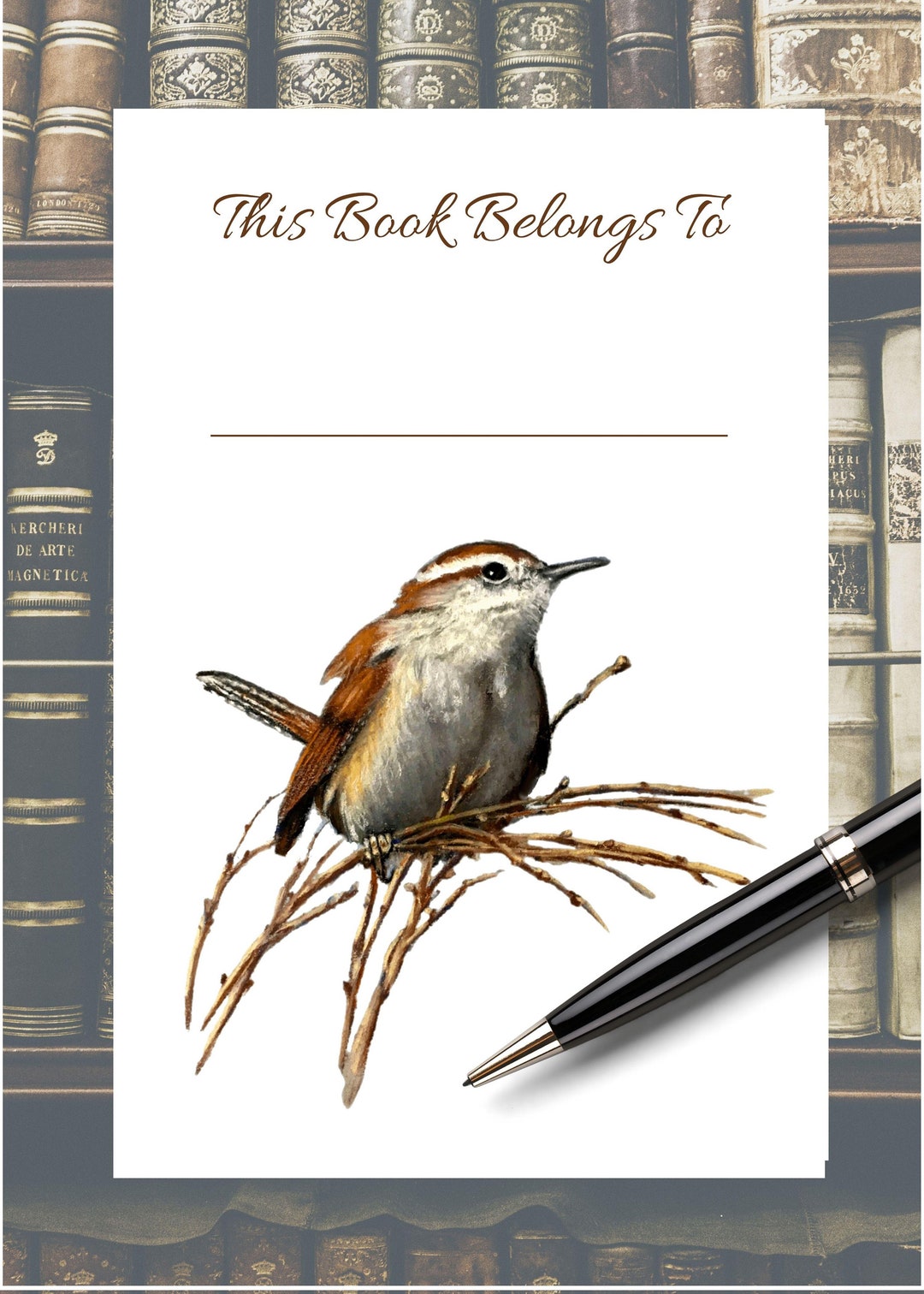 BOOKPLATES With WREN Artwork Bird in Bush Set of 20 Bird Watcher Book ...