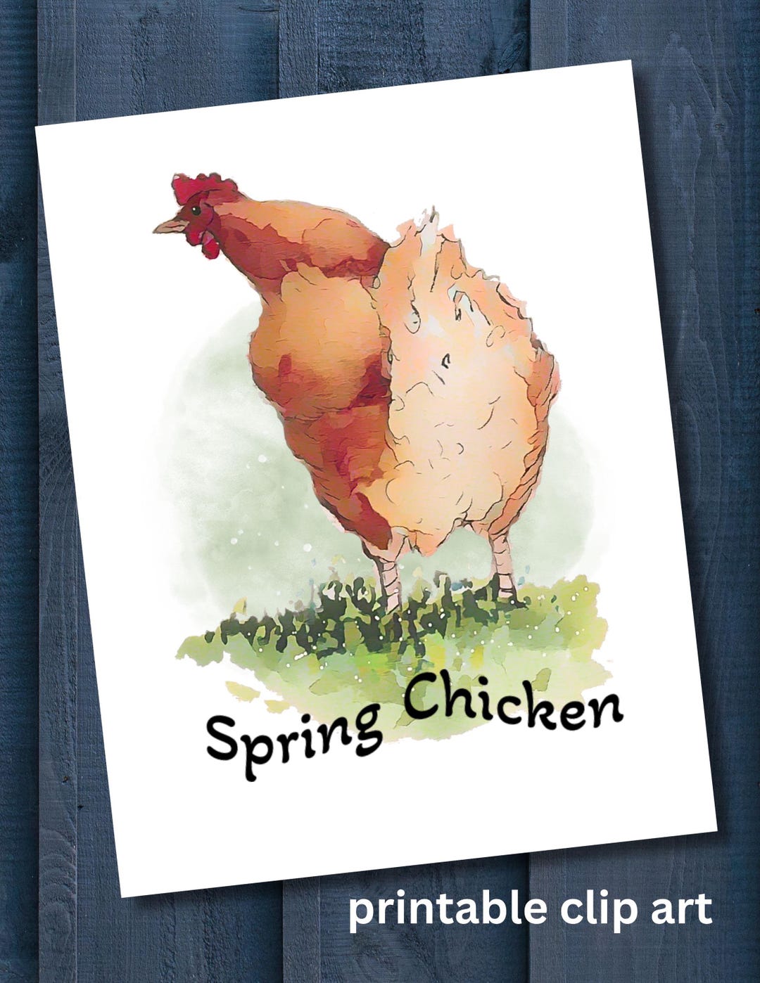 Spring CHICKEN Clipart, Farm Animal, Digital Freehand Drawing ...