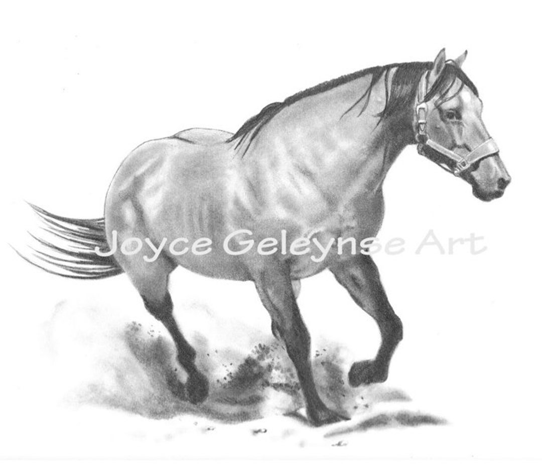 PRINTABLE Horse, Stallion Running, Realism Pencil Drawing, Western Art ...