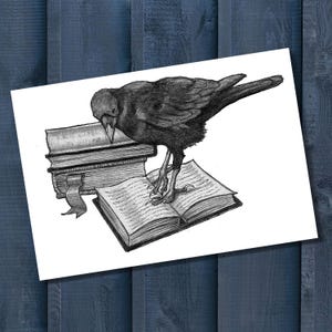 PRINTABLE Clip Art, CROW and BOOKS, From Original Pencil Art, Corvid ...