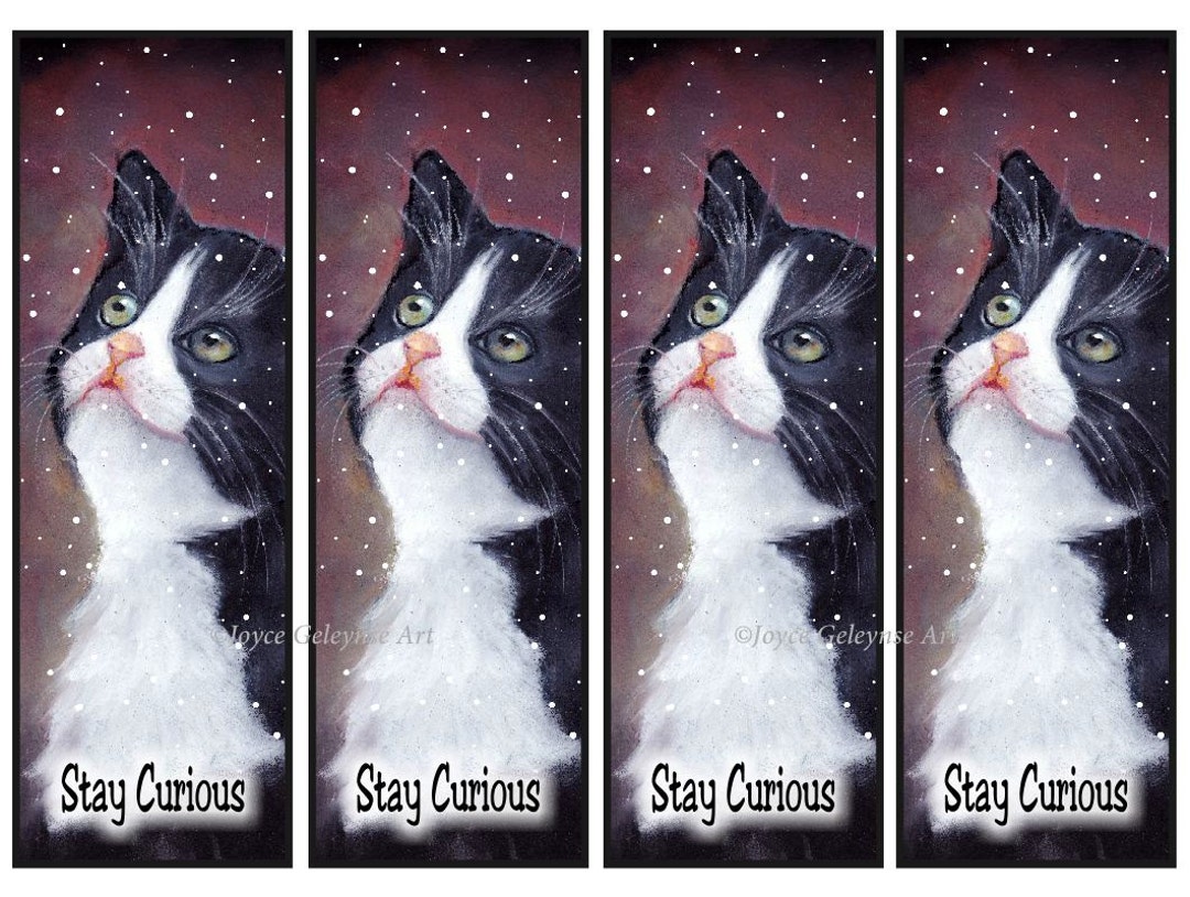 CAT Printable Bookmarks, Stay Curious, Tuxedo Cat, Snow, Original Art ...