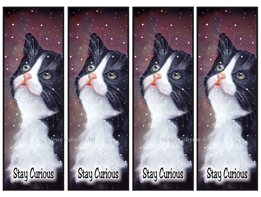 CAT Printable Bookmarks, Stay Curious, Tuxedo Cat, Snow, Original Art ...