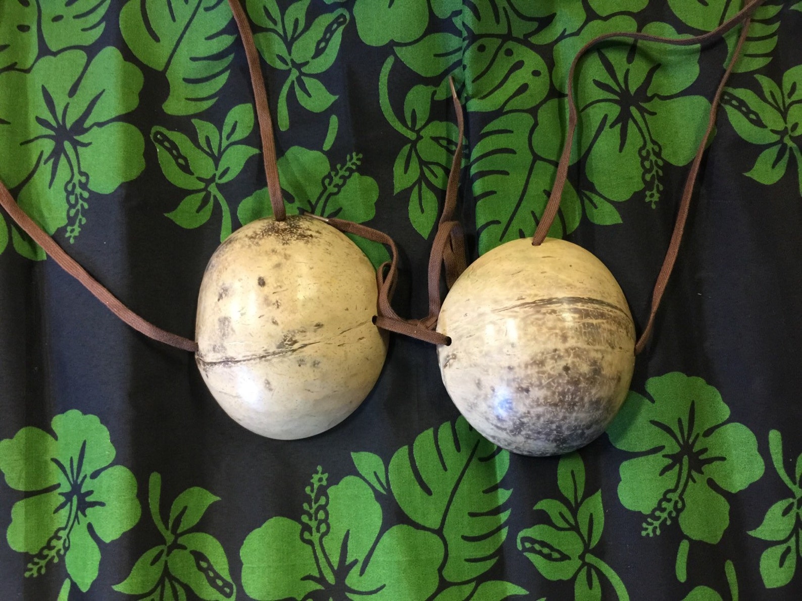 Coconut Bra Small Child Teen Small Adult Coco Bra Hula | Etsy