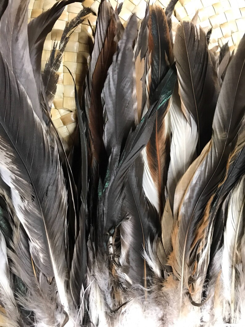 Coque feathers 8-10 inch color chinchilla mix-tahitian | Etsy