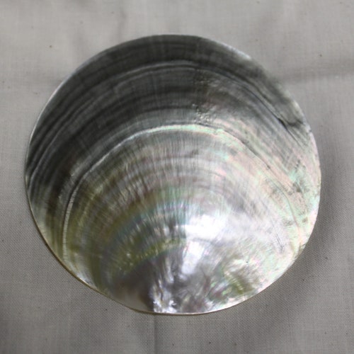 2.25 Inch Mother of Pearl Shell Round | Etsy