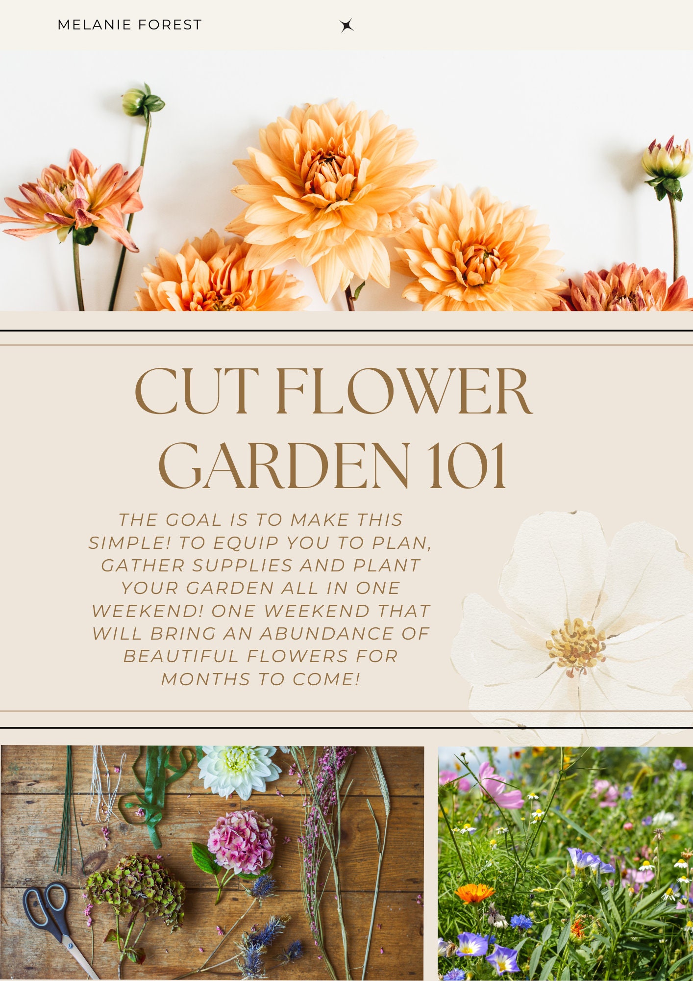 Cut Flower Garden 101 Digital Guide - Etsy