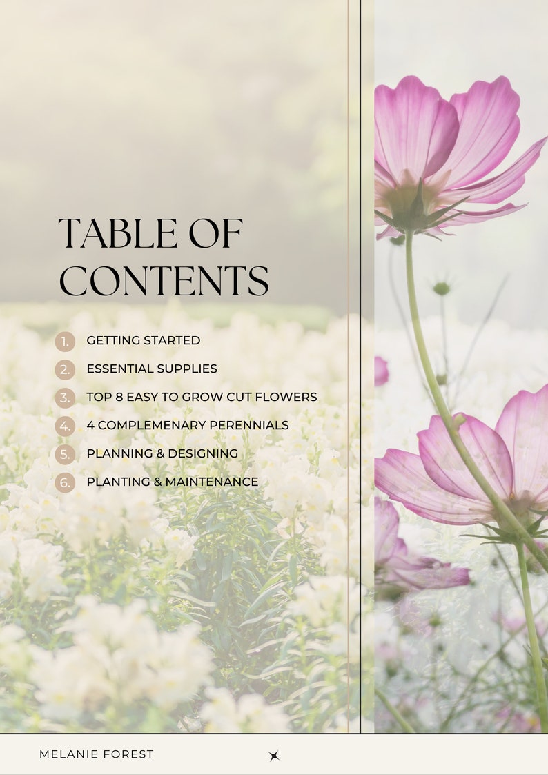 Cut Flower Garden 101 Digital Guide - Etsy