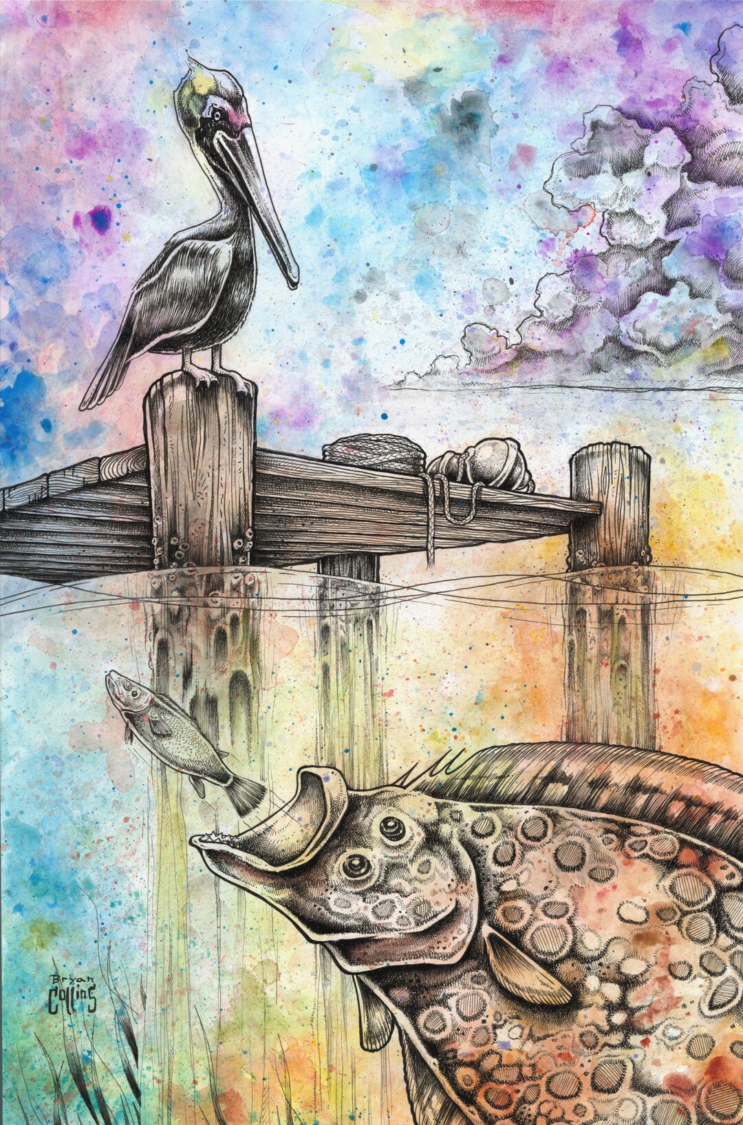 Intracoastal Observer - Fishing Pelican and Flounder Fine Art Wall ...