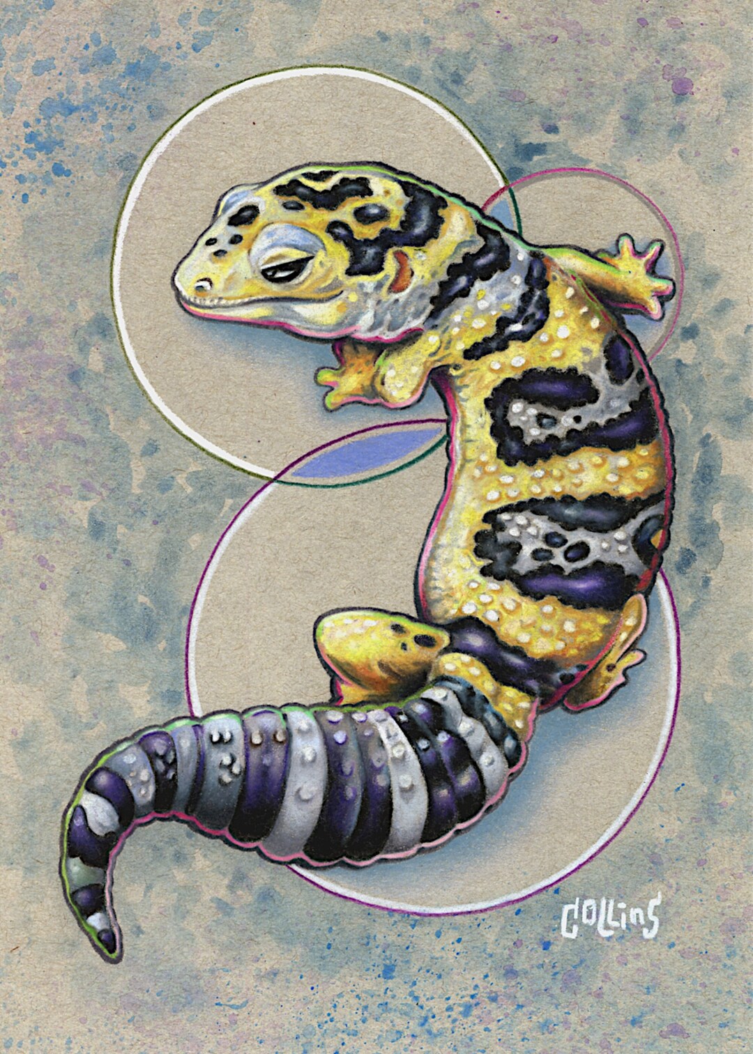 Leopard Gecko Morph Small 5x7 Reptile Fine Art Wall Print - by Bryan ...