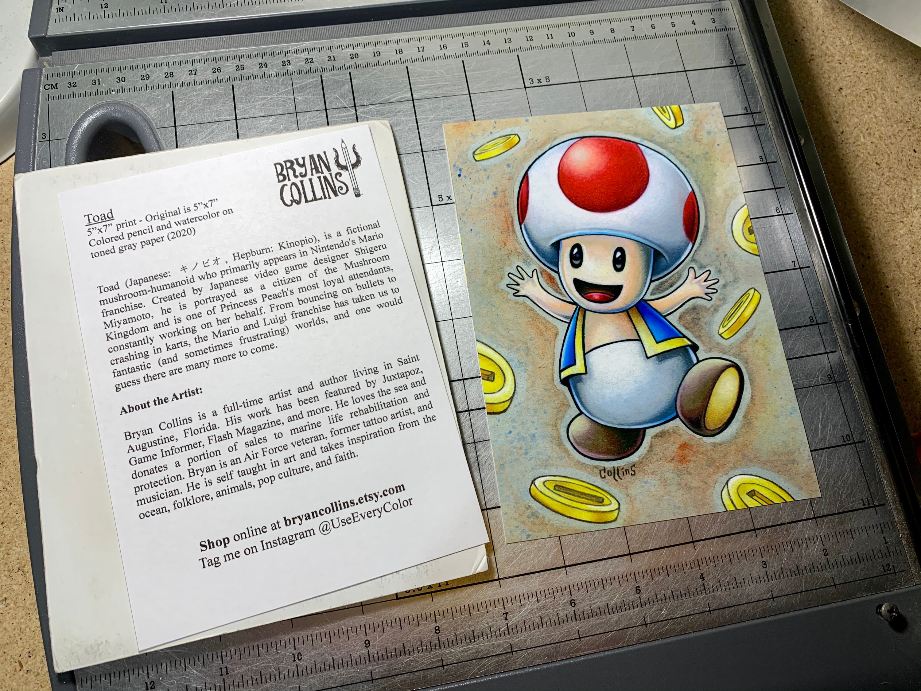 Toad Super Mario Bros Fine Art Wall Print by Bryan Collins | Etsy