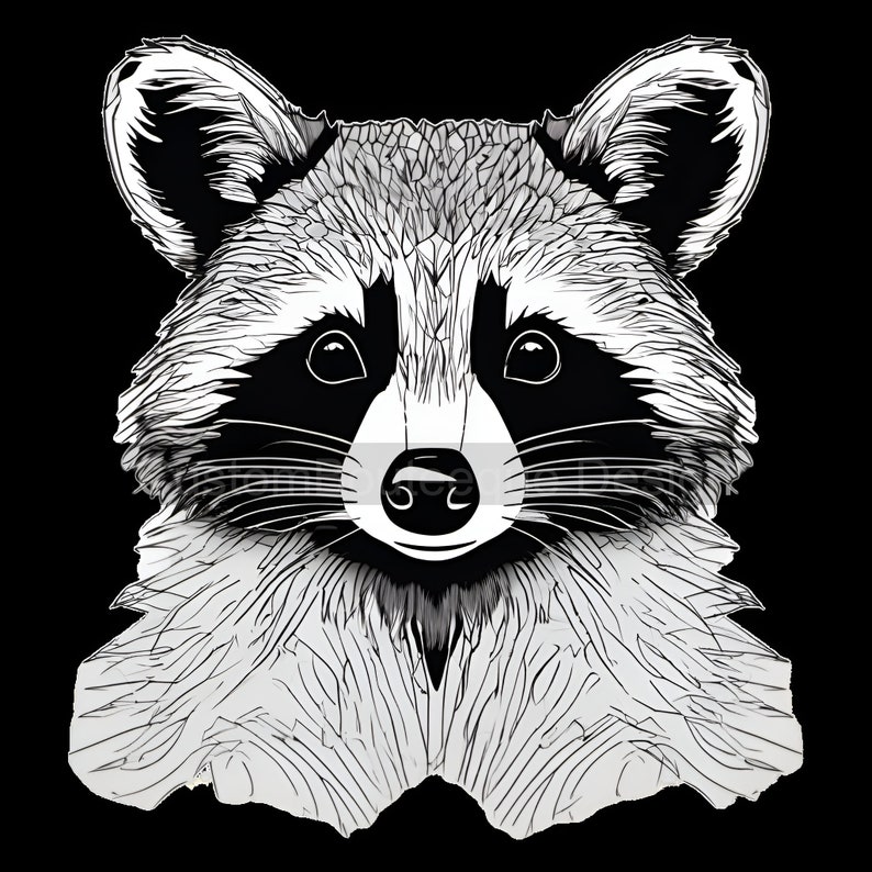 Raccoon Face Svg Pdf Png Vector Graphic, High Quality Digital Files ...