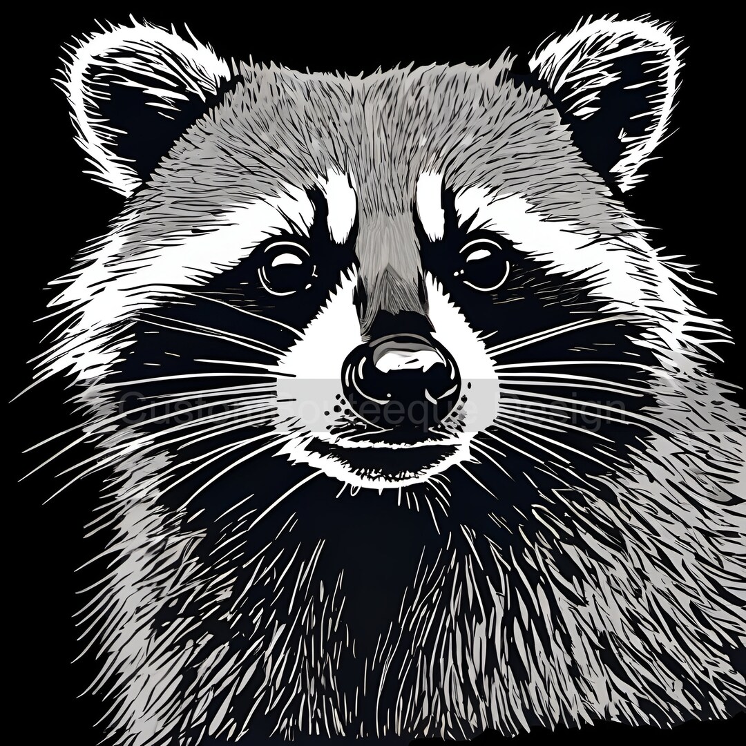 Raccoon Face Svg Pdf Png Vector Graphic, High Quality Digital Files ...