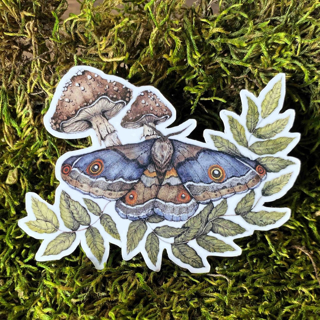 Moth & Mushroom Decals - Watercolor Moth, Butterfly Stickers - Journal ...