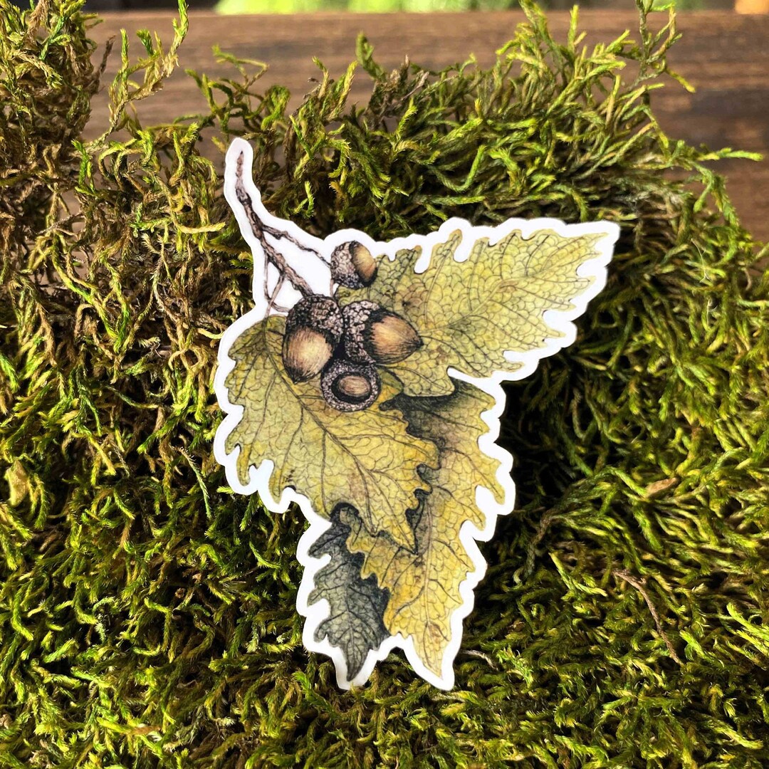 Oak Leaves and Acorns, Oak Leaf Sticker, Laptop Sticker, Journal ...