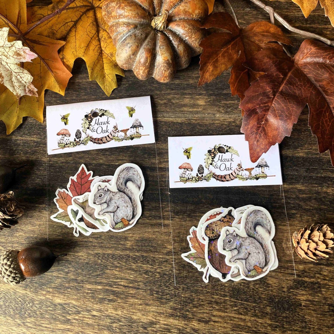 Woodland Squirrel Mini Sticker Pack: Autumn Nature, Waterproof Vinyl - Etsy