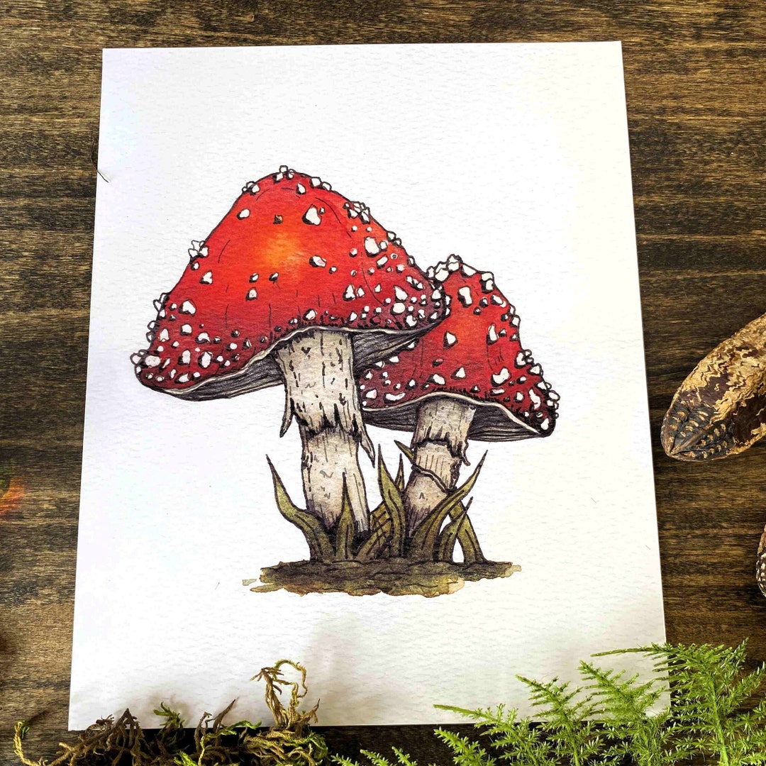 Red Mushroom Art, Mushroom Art Print, Mushroom Watercolor Art, Amanita ...