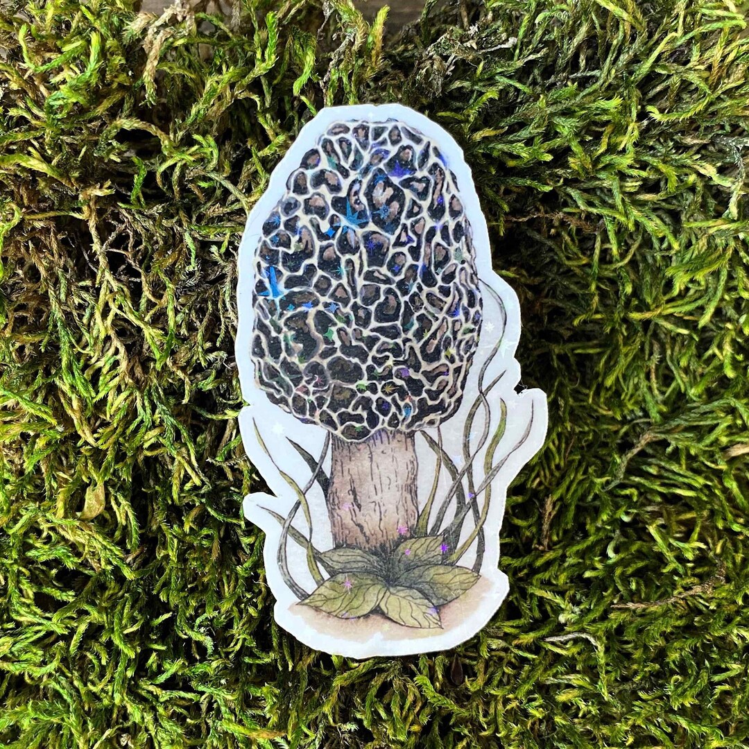 Morel Mushroom Sticker, Morel Mushroom, Mushroom Sticker, Laptop ...